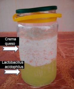 Cómo Hacer Nuestros Propios Fermentos Lácticos